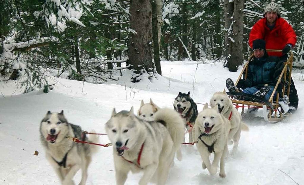 Things to Do in Whistler, BC | Top Activities & Experiences