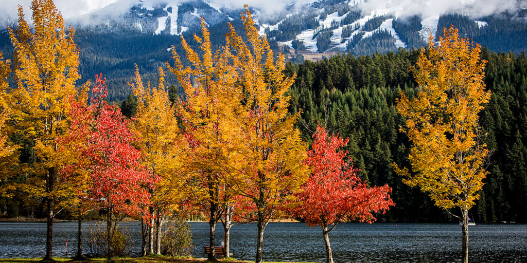 Fall Whistler Chalet Rental: Cozy Getaways & Deals